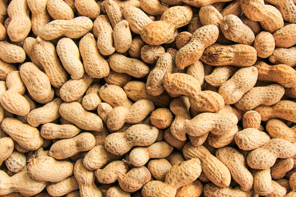 Coastal Growers plans $87 million peanut shelling facility in Atmore ...