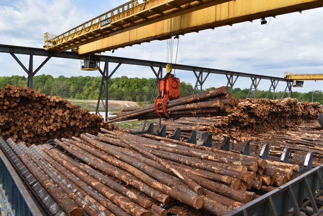 Alabama’s $36 billion forestry industry powers rural growth and ...