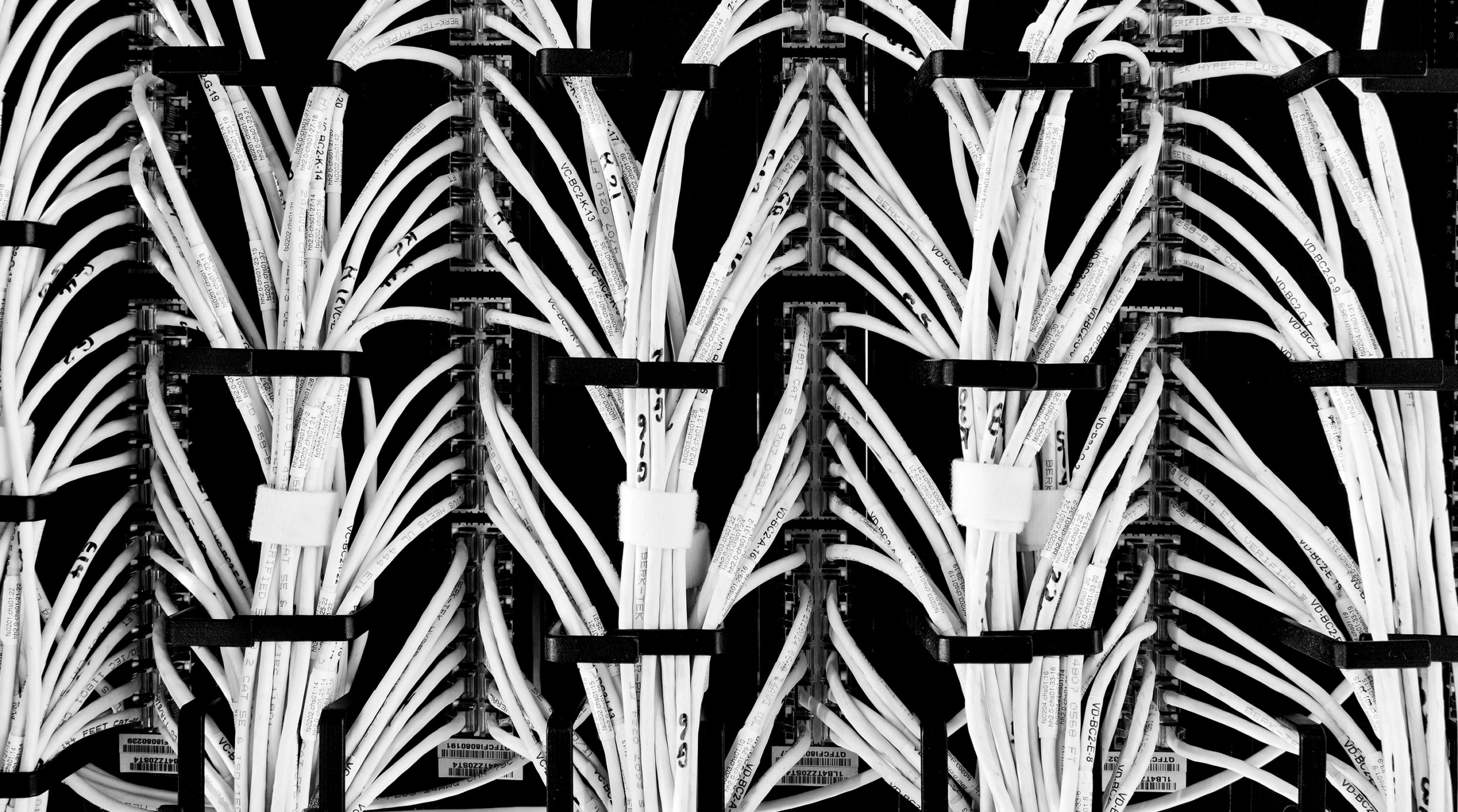 How Google’s Search Ended in Alabama - Made in Alabama